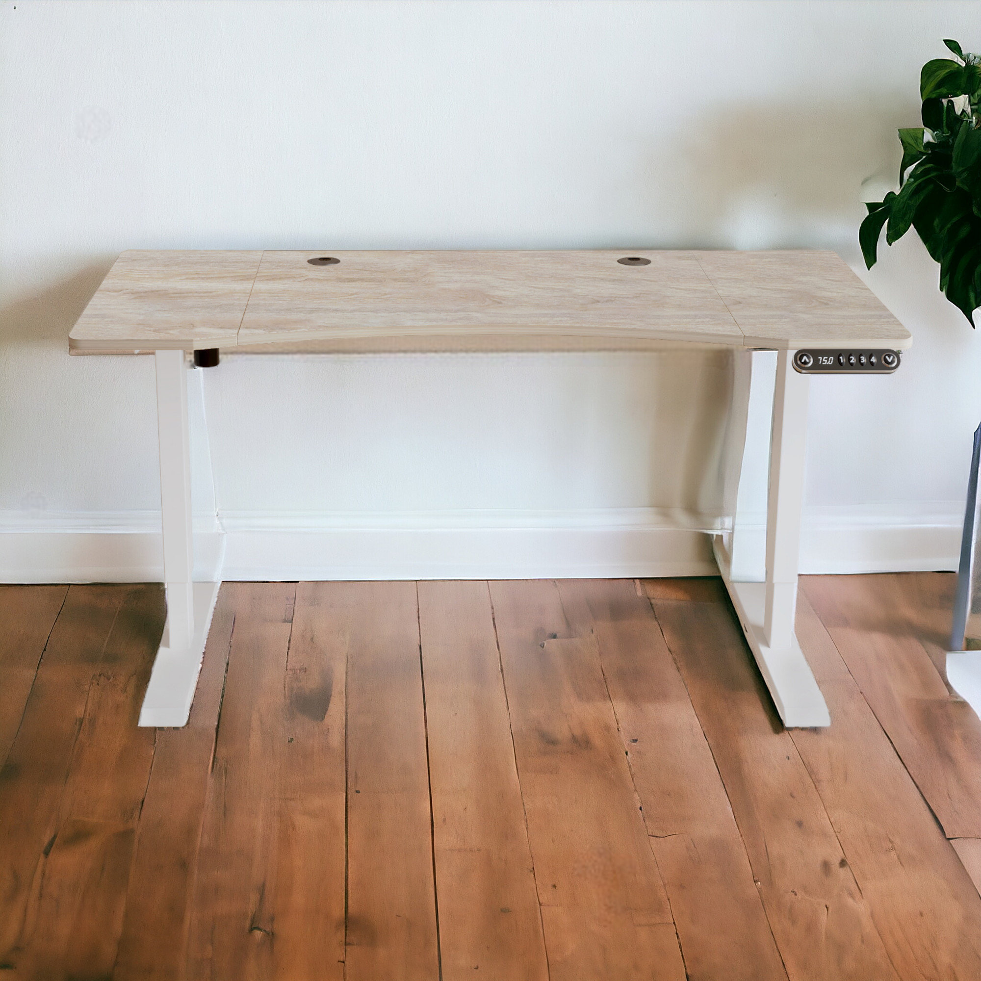 The Twillery Co.® Secours 55'' W Height Adjustable Unique Standing Desk ...