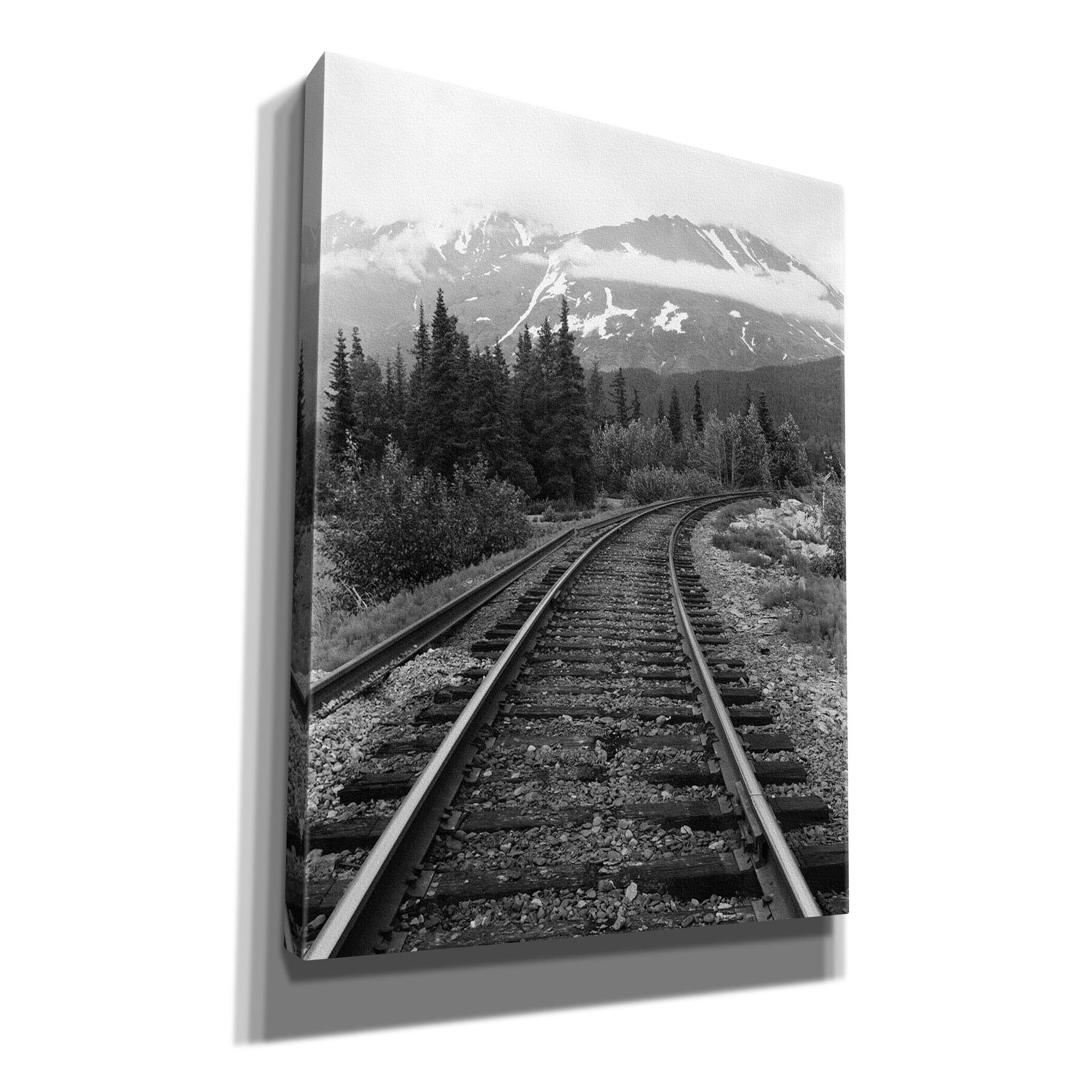 Millwood Pines Railroad Tracks, Alaska 85 On Canvas by Monte Nagler ...