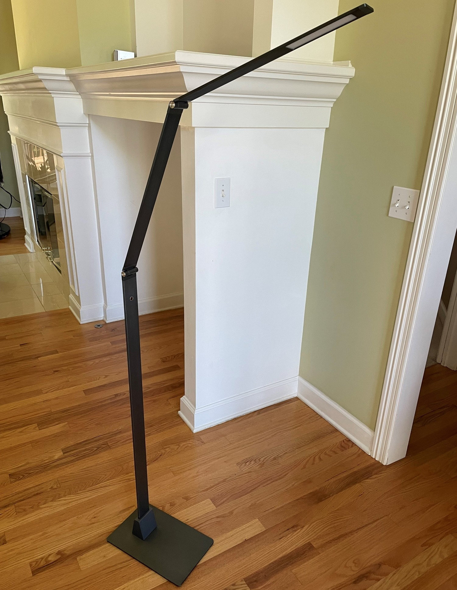 Electrix® LED Floor Lamp | Wayfair