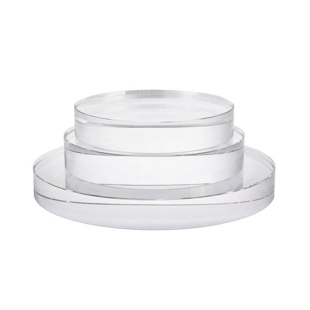 Orrefors Precious Crystal Decorative Bowl by Malin Lindahl | Perigold