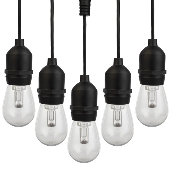 The Holiday Aisle® Junyi Outdoor String Lights - 50FT Color-Changing ...