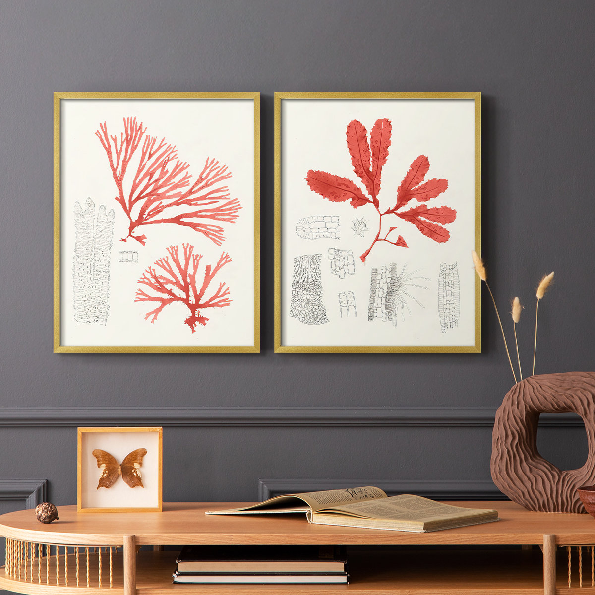 Lark Manor™ Vintage Coral Study I-Premium Framed Print -Ready to Hang ...