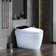 BCAN Smart Toilet with Tankless Bidet Wash, Auto Open Lid, 1.28 Gallons ...