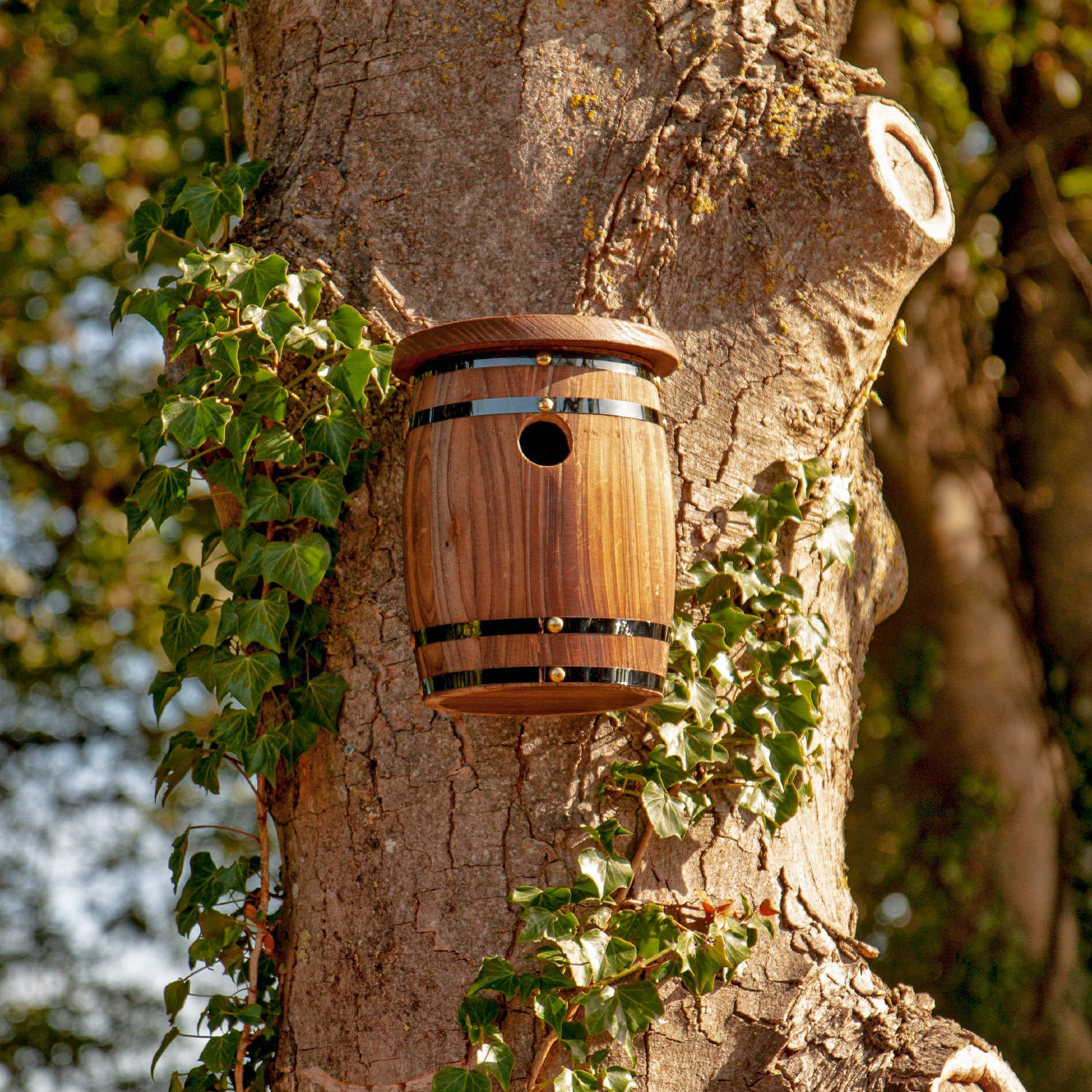 Millwood Pines Barrel Bird Nester | Wayfair