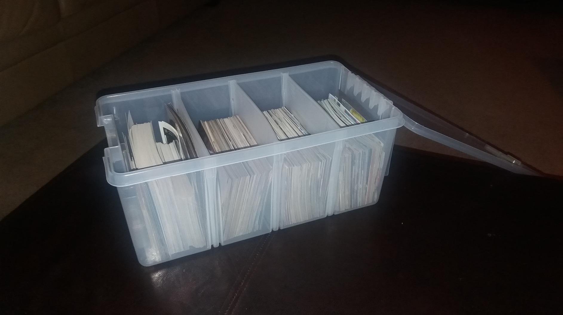 Ivy Bronx Satchel Portable Craft Organizer Clear Plastic Storage Case ...