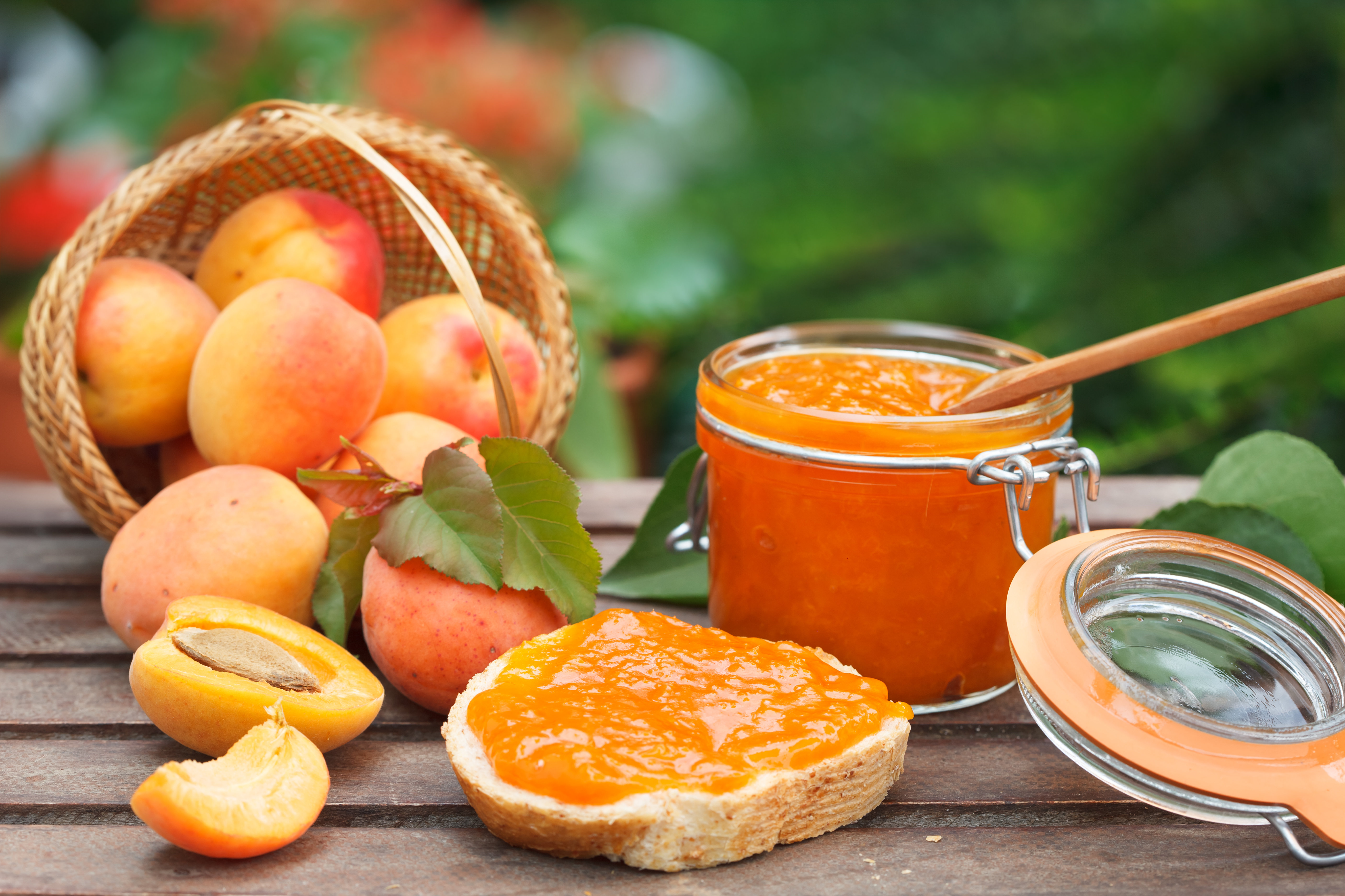 Ebern Designs Bread and Apricot Jam - Wrapped Canvas Photograph | Wayfair