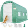 KING BIRD Premium 20x10x6.6FT Large Walk-in Greenhouse for Outdoors ...