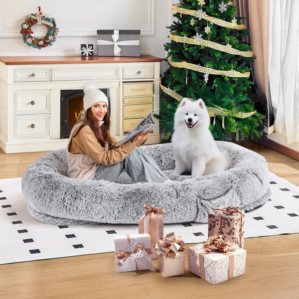 Archie & Oscar™ Marston Human Dog Bed, 72"×48"×10" Human Dog Bed With ...