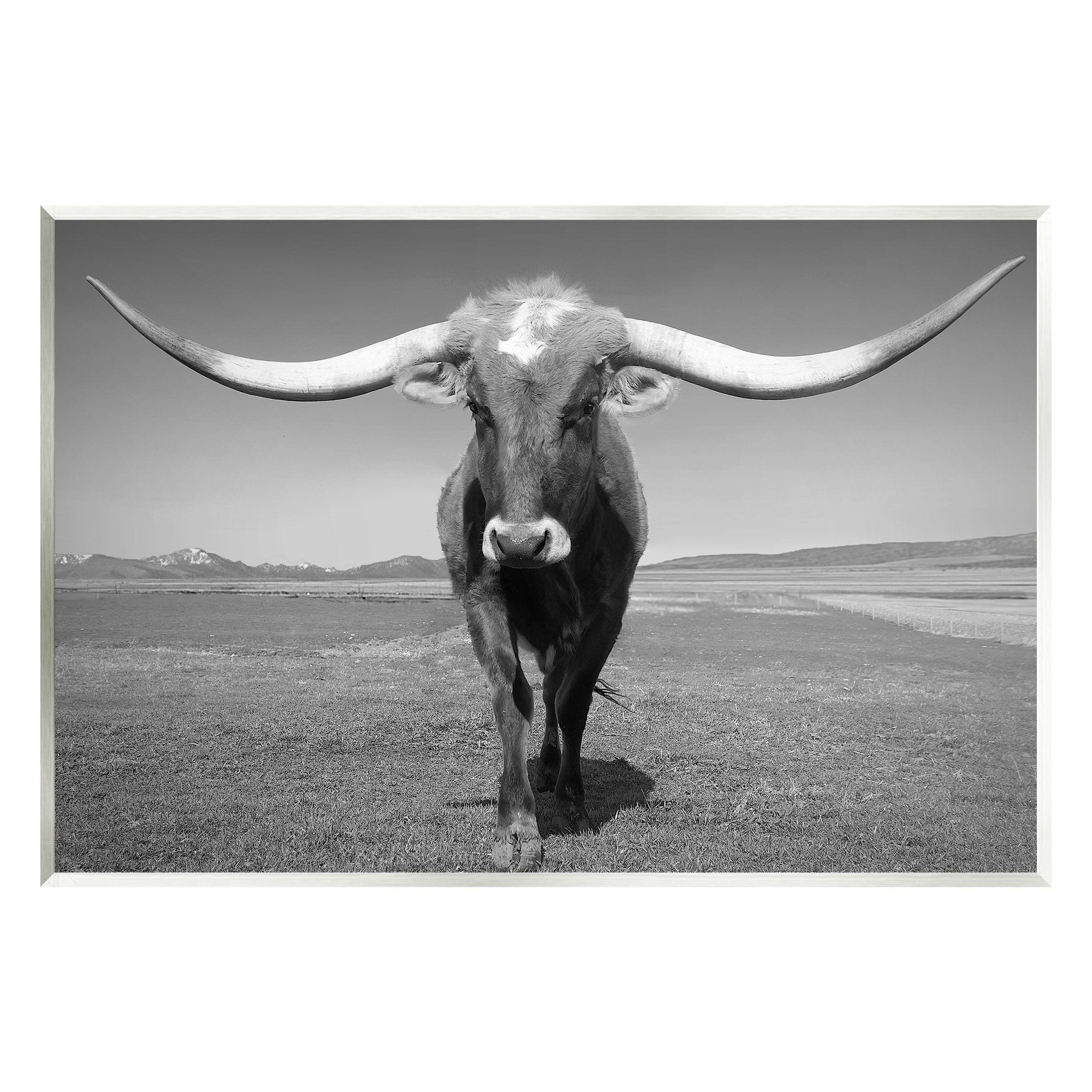 Stupell Industries Longhorn In Countryside by Steve Toole | Wayfair
