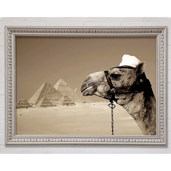 Bright Star Pyramid Camel - Single Picture Frame Print | Wayfair.co.uk