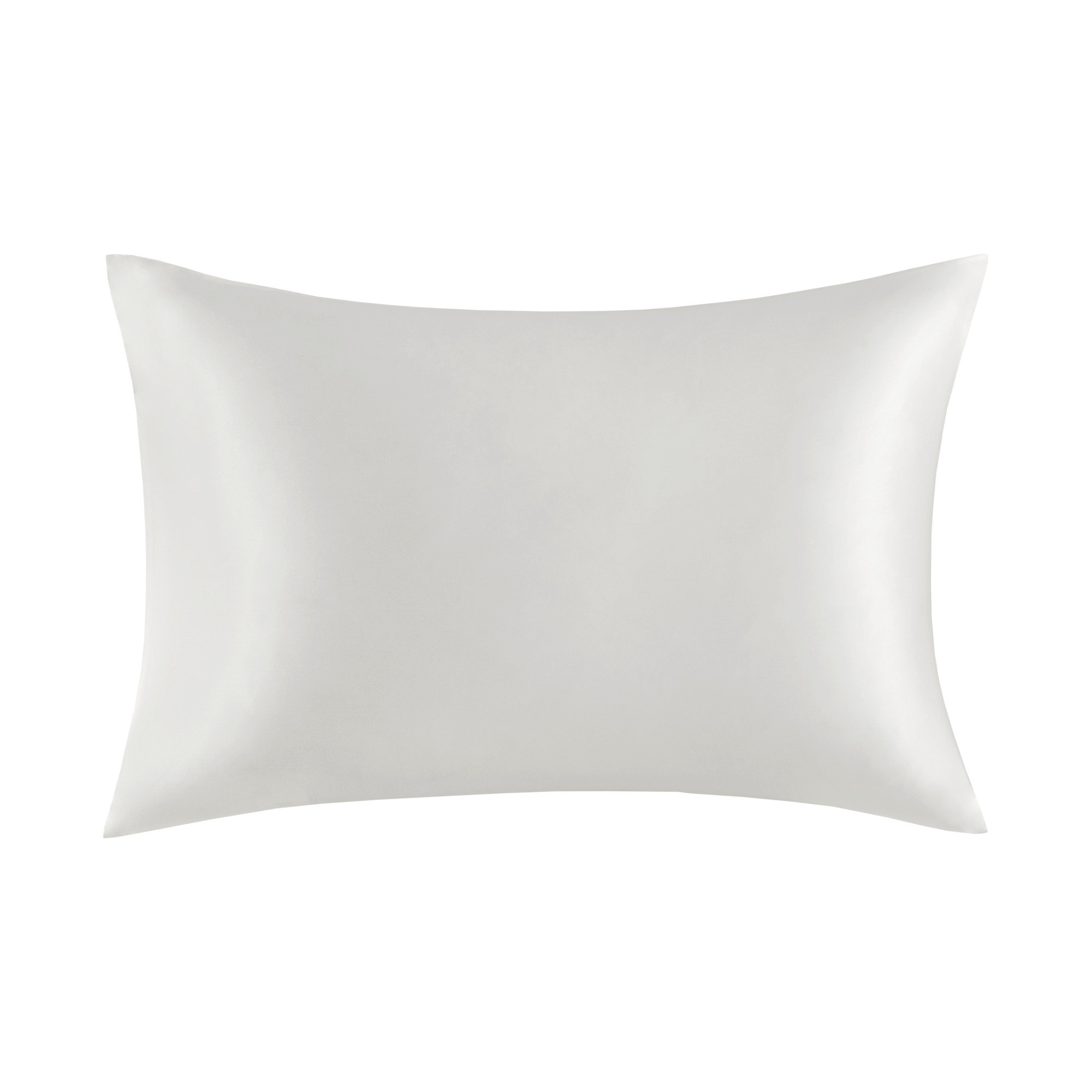 Madison Park Silk 100% Mulberry Silk Pillowcase Single Piece & Reviews ...