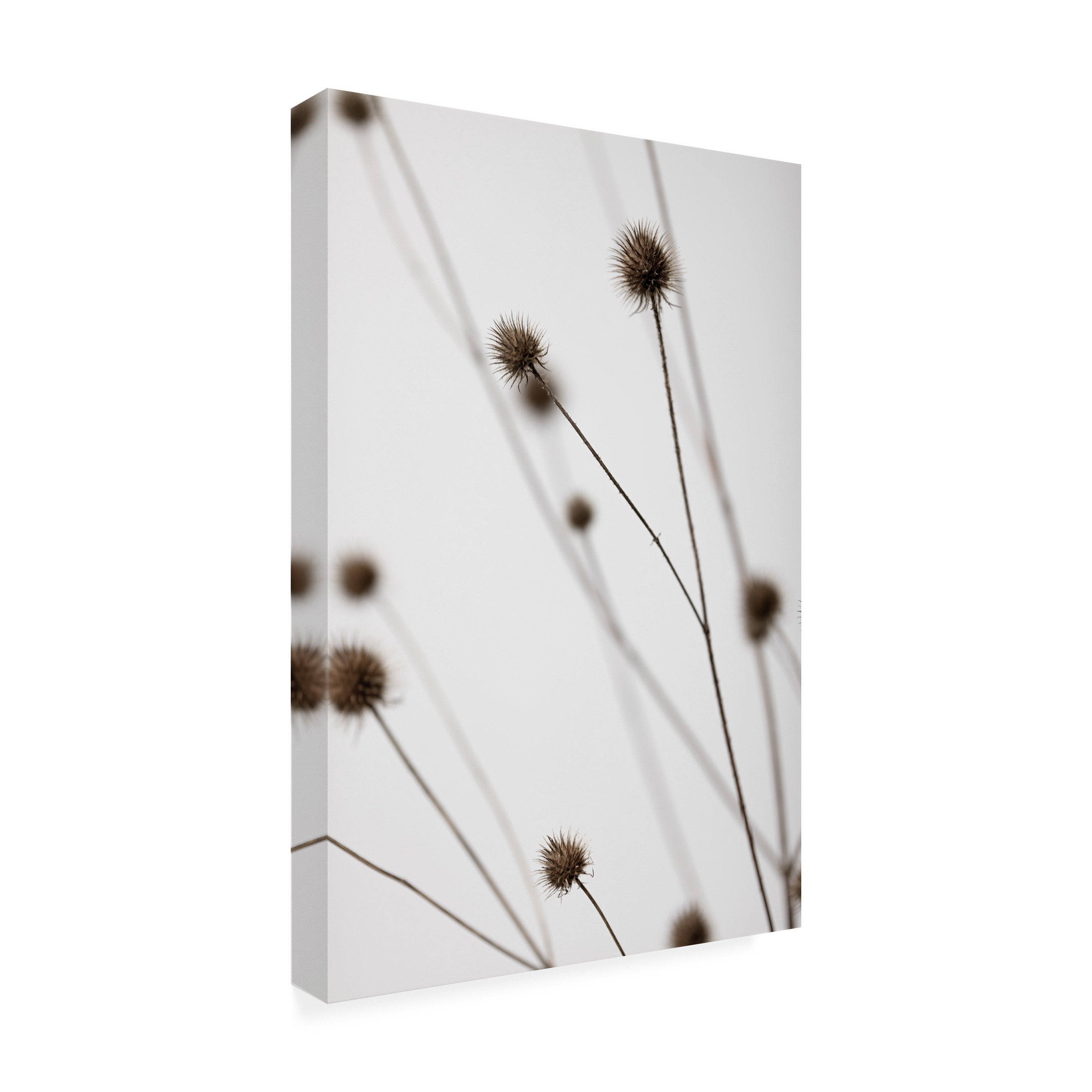 Highland Dunes Thistle Gray 05 by 1x Studio III - Wrapped Canvas ...