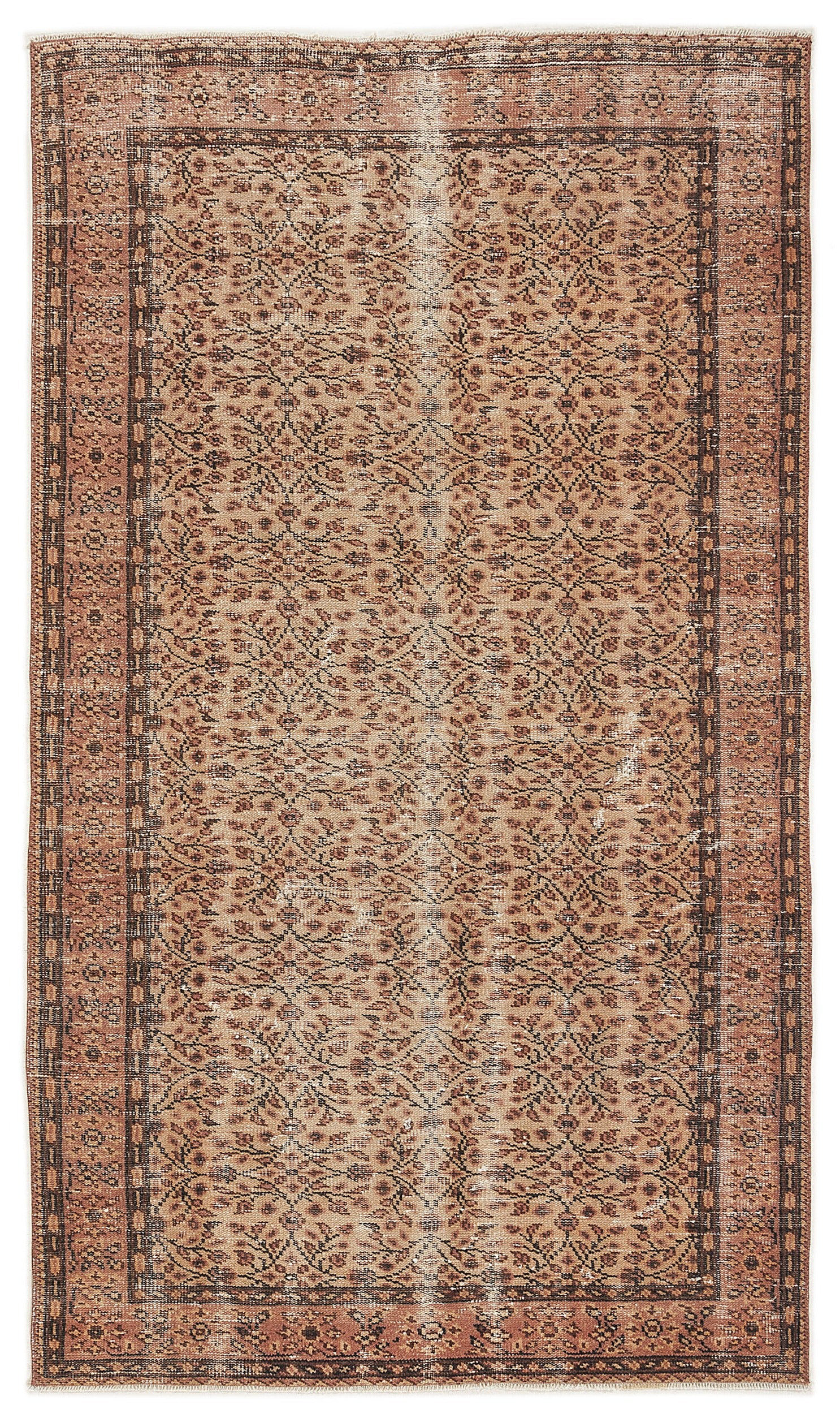 Charlton Home® Rectangle Eliyanna Rectangle 4'8" X 8'2" Area Rug | Wayfair