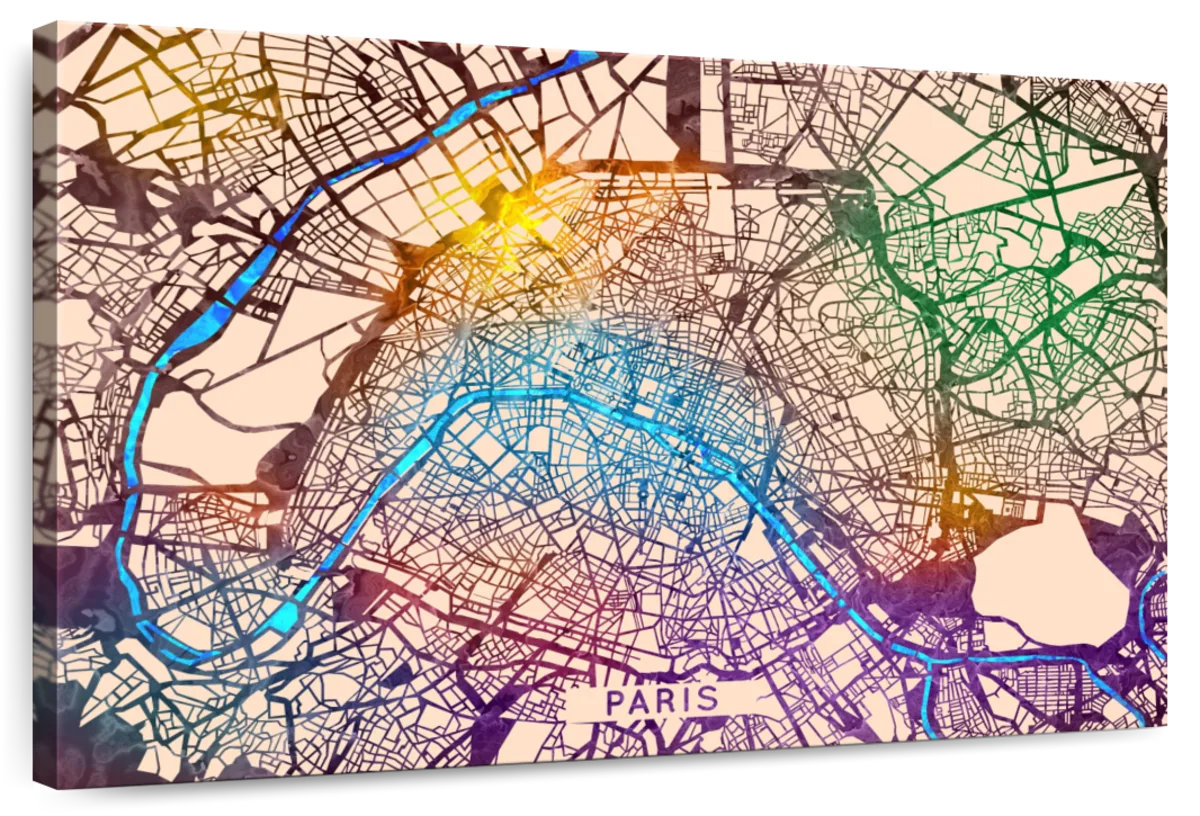Elephant Stock Vibrant Paris City Map | Wayfair