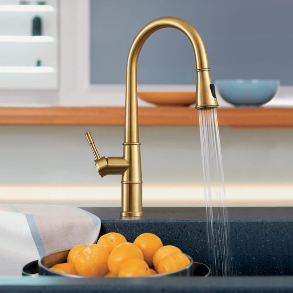 Topcraft Pull Out Kitchen Faucet | Wayfair