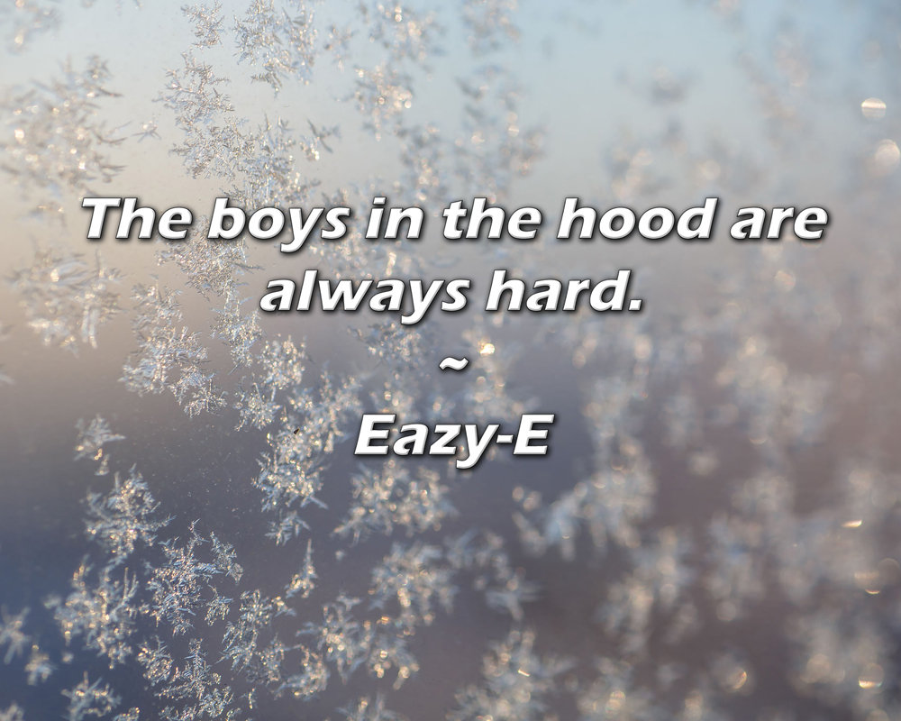 Trinx Eazy-E Quote: The boys in the hood are always hard. - Wayfair Canada