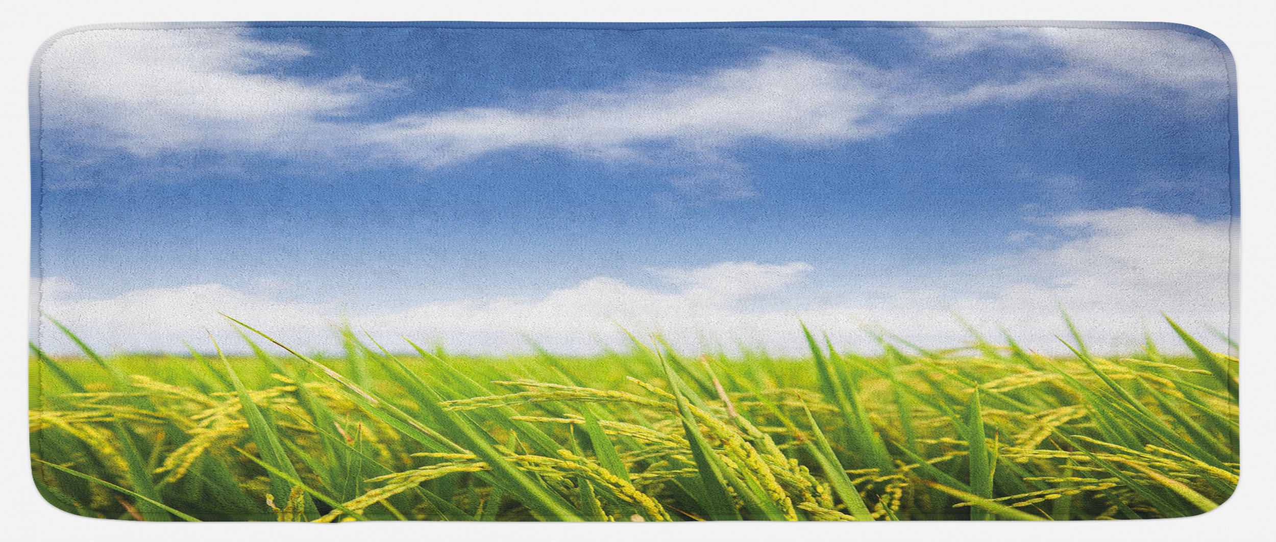 East Urban Home Cultivated Farm Paddy Rice Field Agriculture Food ...