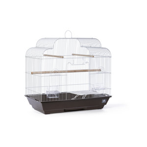 Tucker Murphy Pet™ Cassius 23.5" Victorian Table Top Bird Cage with ...