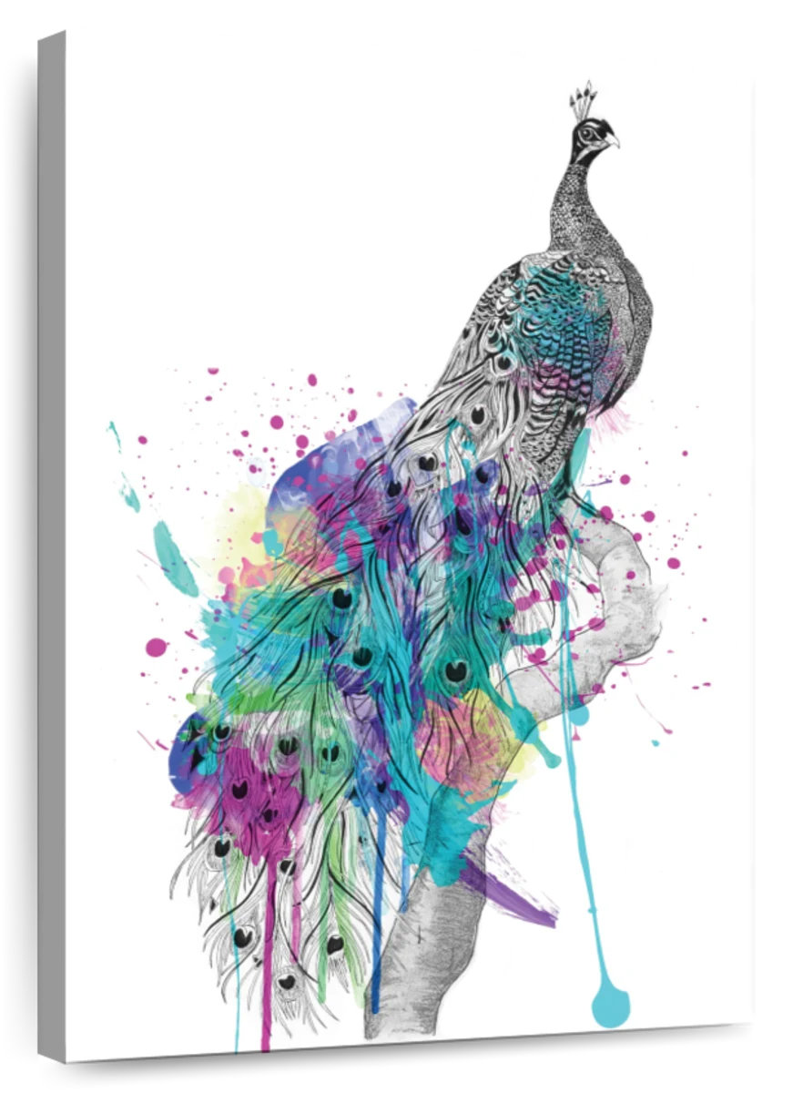 Elephant Stock Peacock Splash | Wayfair