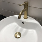 YZZY Single-Hole Single-handle Bathroom Faucet with Drain Assembly ...