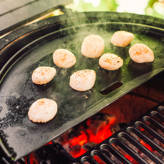 Volcano Grills Cast Iron Reversible | Wayfair