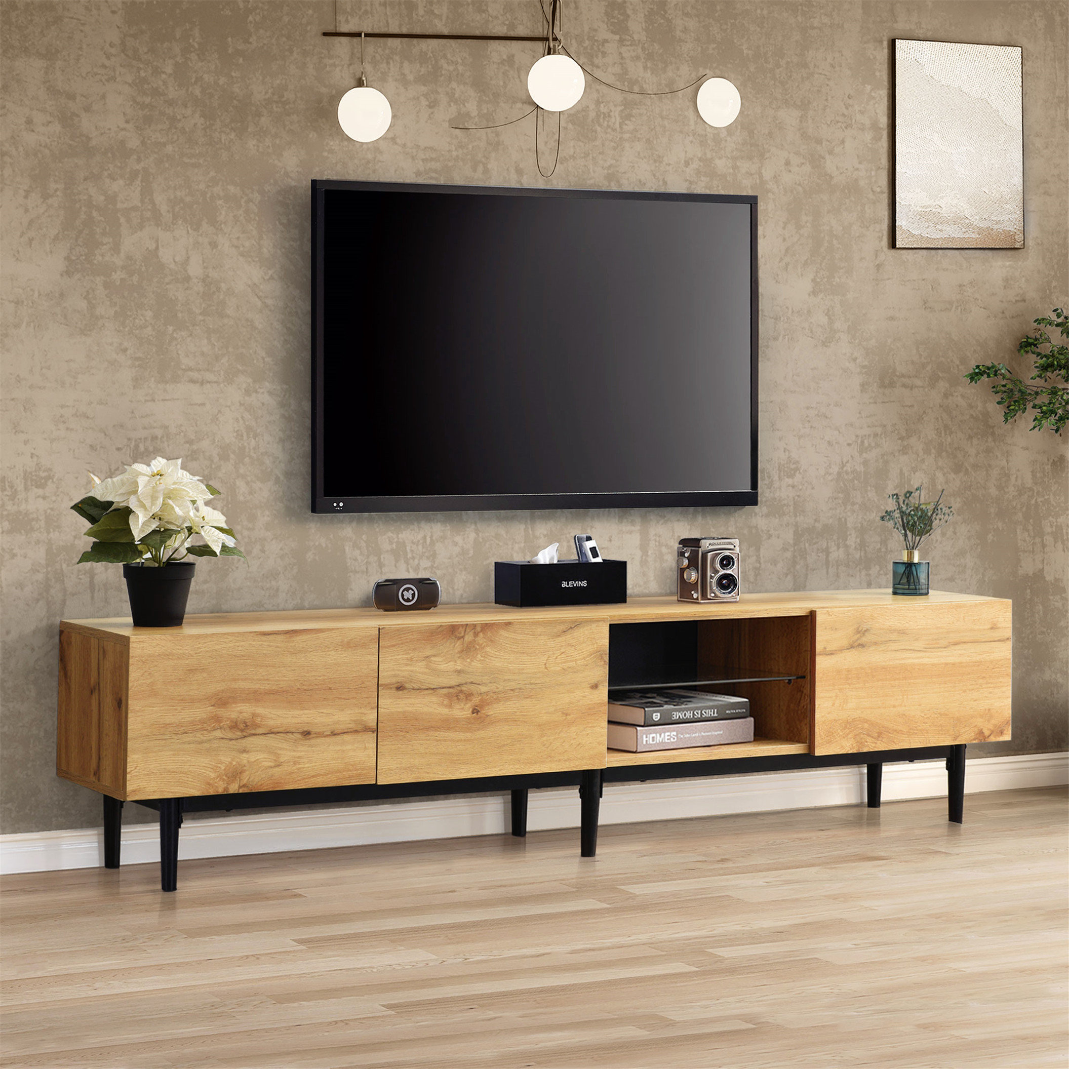 George Oliver Modern TV Stand with Multiple Cabinets and Open Shelves ...