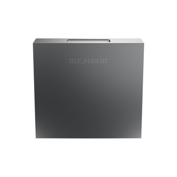 Mr. Steam Designer 3 in. Steamhead with AromaTherapy Reservoir in ...