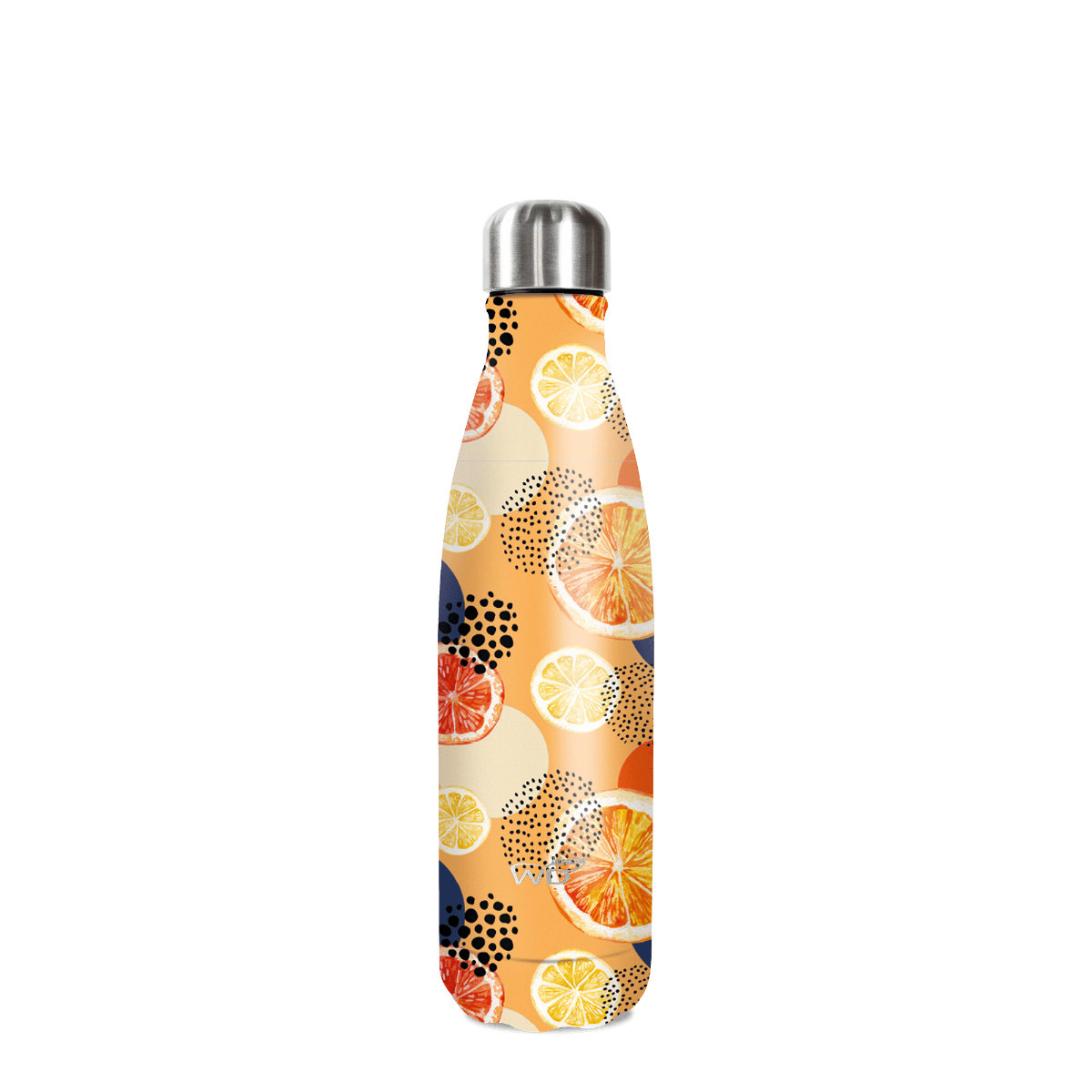 WD Lifestyle 16.9oz. Insulated Stainless Steel Water Bottle | Wayfair