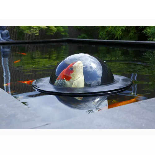 Dakota Fields Velda Floating Fish Dome | Wayfair.co.uk