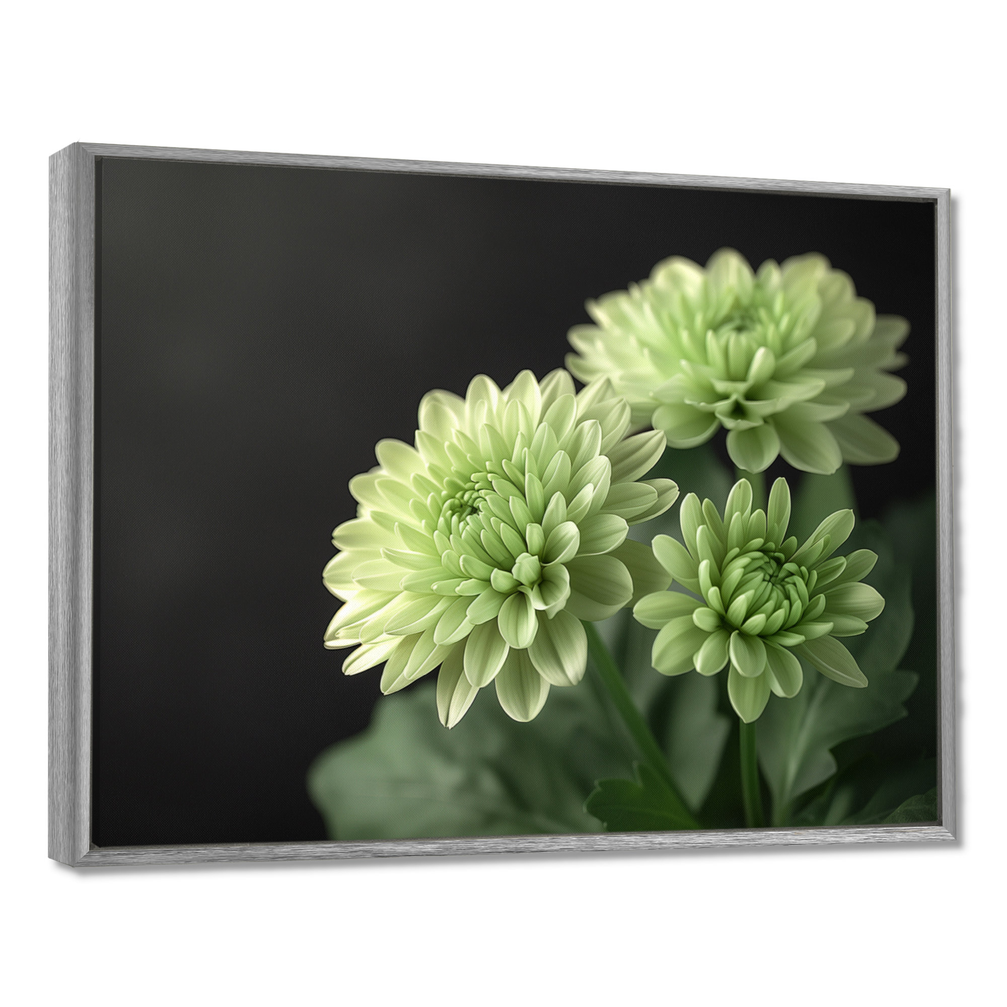 Latitude Run® Green Monochrom Mums Flowers Bouquet II - Mums Wall Art ...