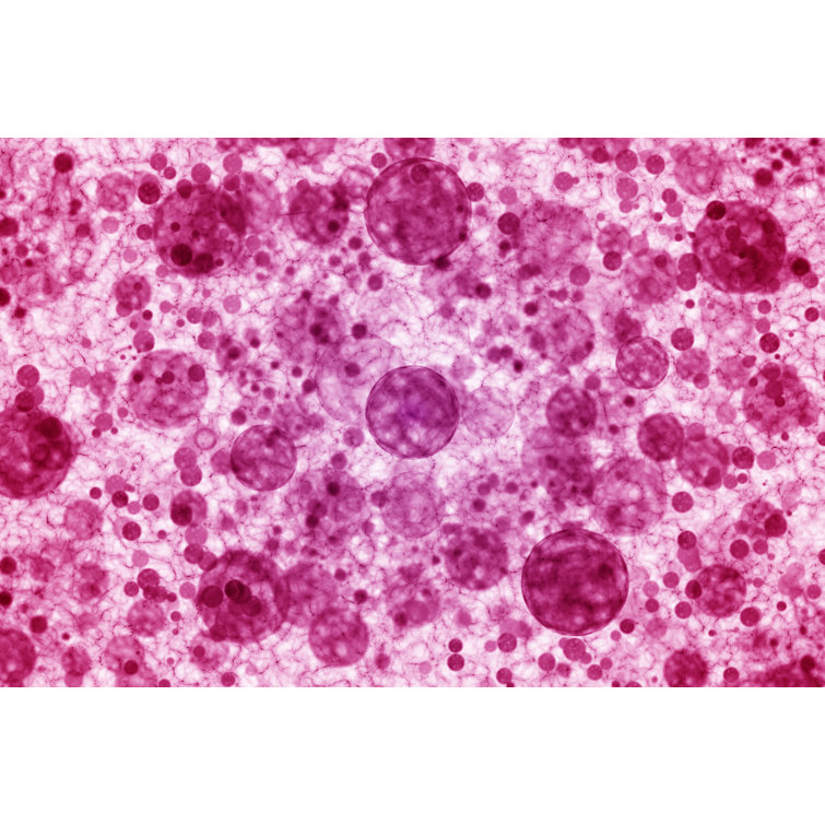 Metro Lane Artavious Microorganism Cells by Mrdoggs - Wrapped Canvas ...
