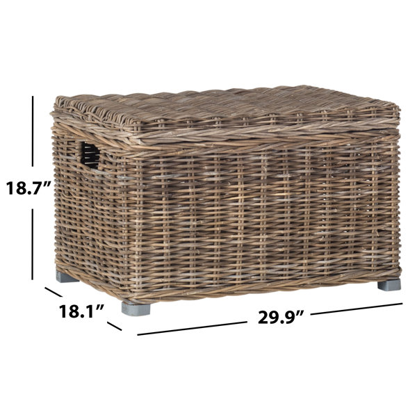 Bay Isle Home™ Whyte Wicker Trunk & Reviews | Wayfair