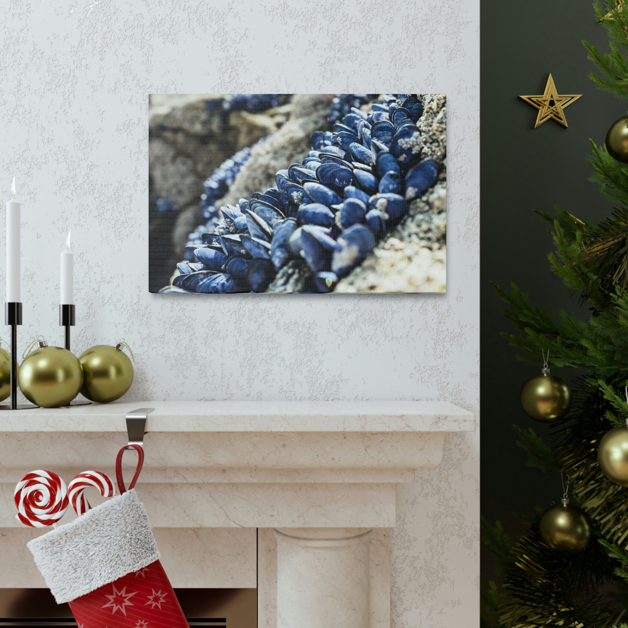 Ebern Designs Scallop Group Scallop Troop Print Animal Wall Art | Wayfair