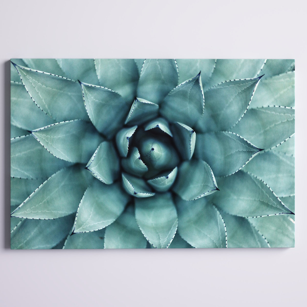 Mistana™ Turquoise Succulent - Wrapped Canvas Photograph Print ...