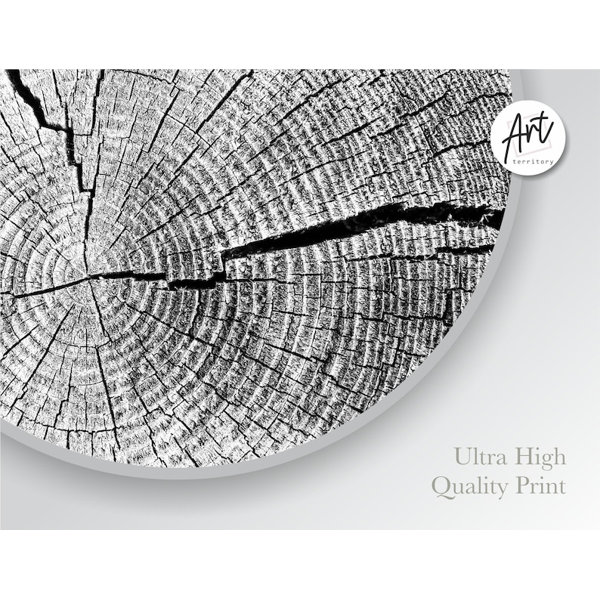ART TERRITORY Extra Large Tree Ring Horizontal Poster, Canvas Wall Art ...