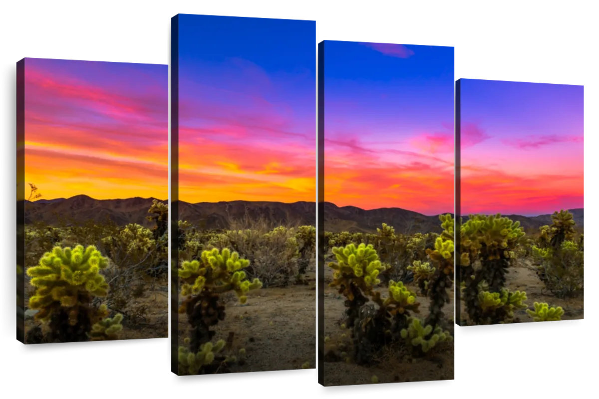 Hokku Designs Joshua Park Cactus | Wayfair