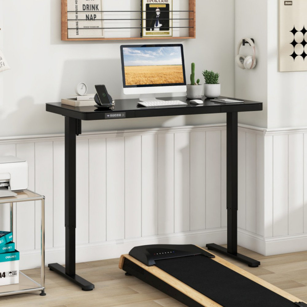 Brayden Studio® 48-Inch Height Adjustable Electric Standing Desk With ...