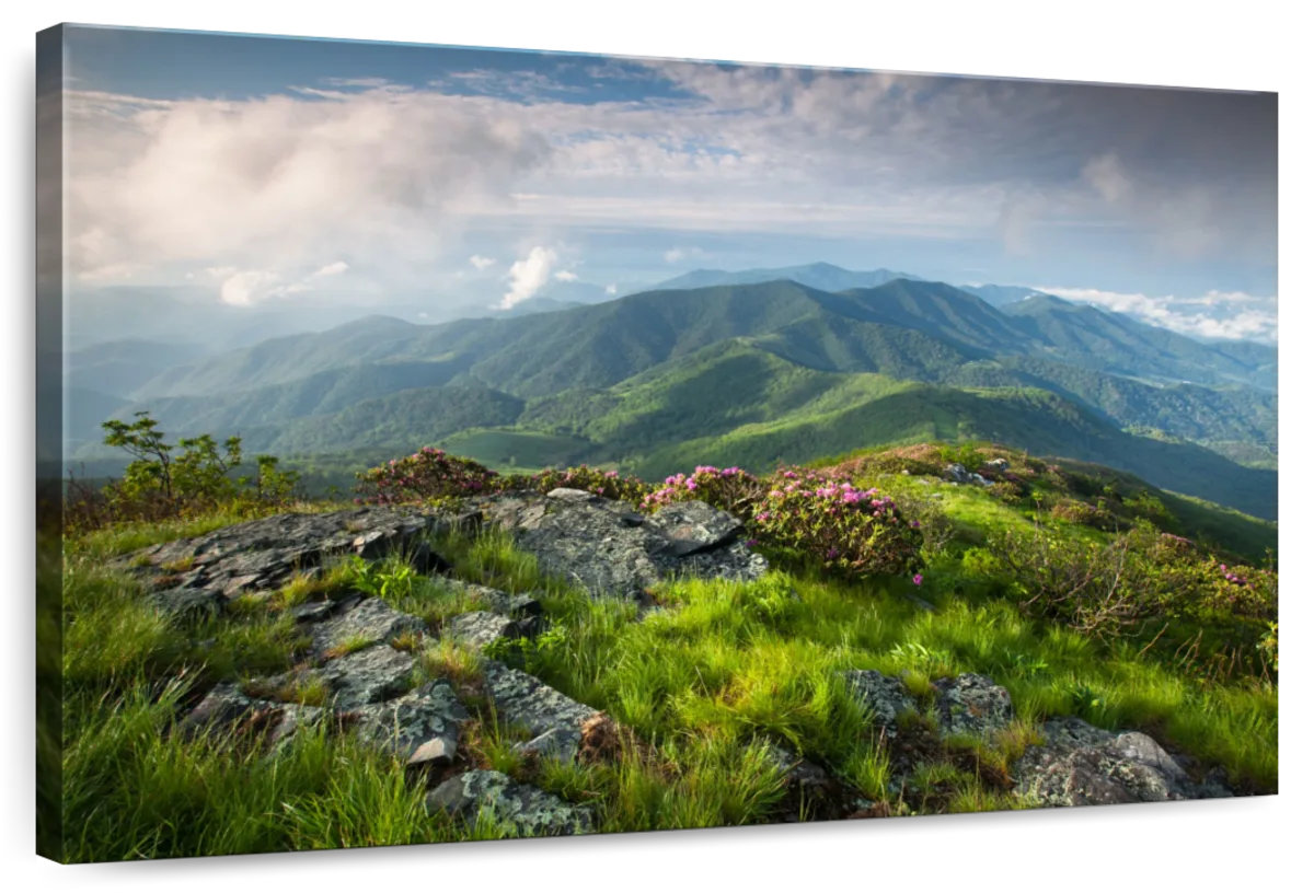 Millwood Pines Alvord Majestic Blue Ridge Mountains | Wayfair