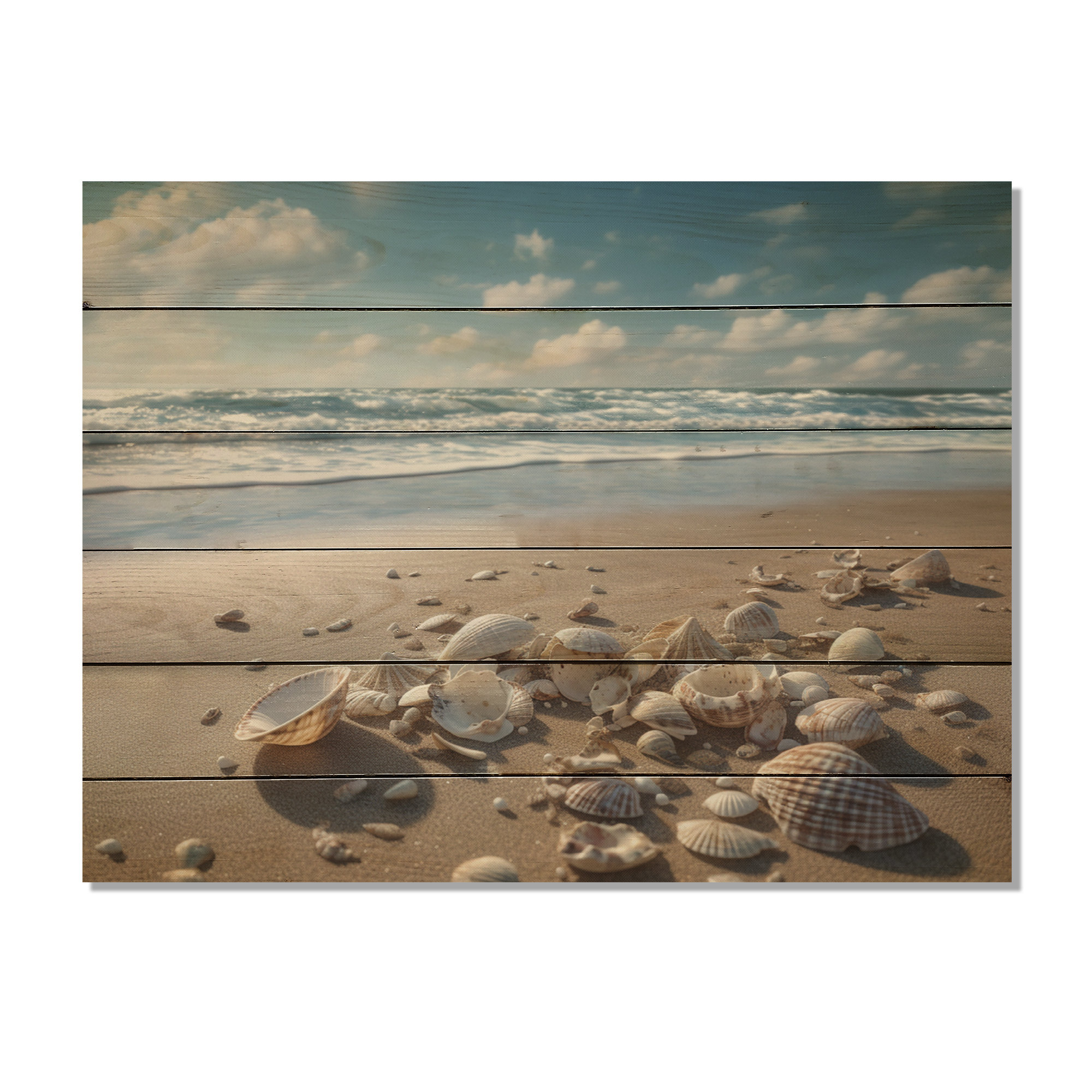 Dovecove Seaside Seashell Treasures III - Modern Landscape Beach Print ...