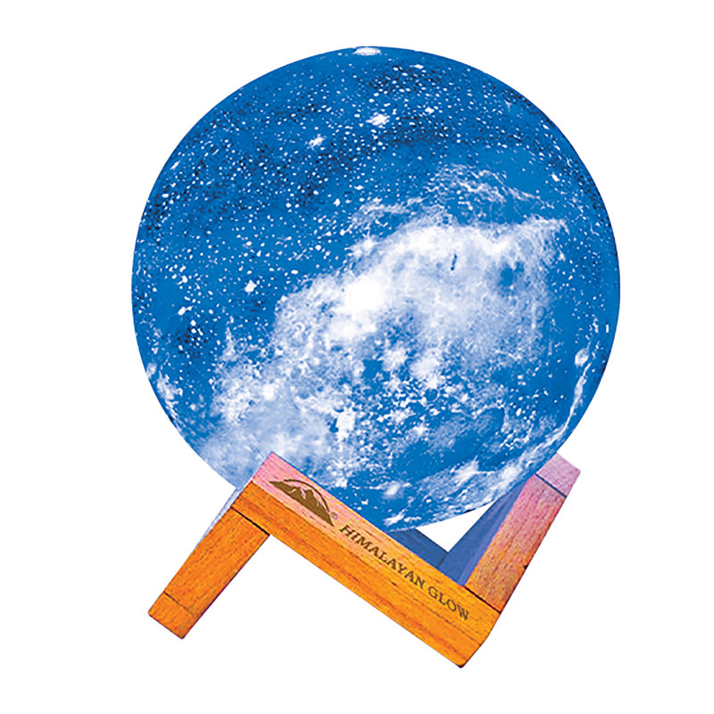 Wrought Studio™ Dusten Solid Wood USB Globe Lamp | Wayfair