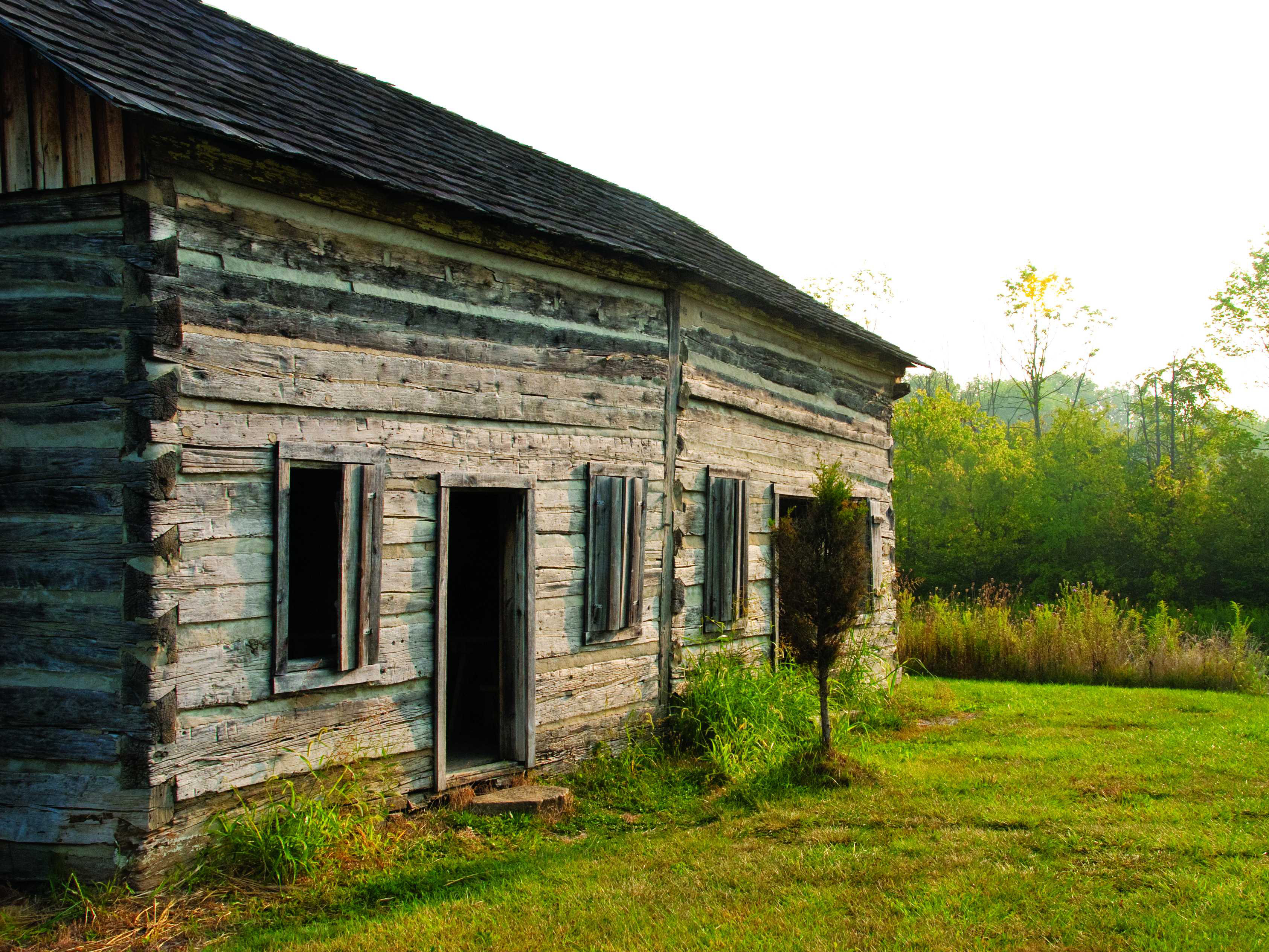 Rosalind Wheeler Cabin View - Wrapped Canvas Print | Wayfair