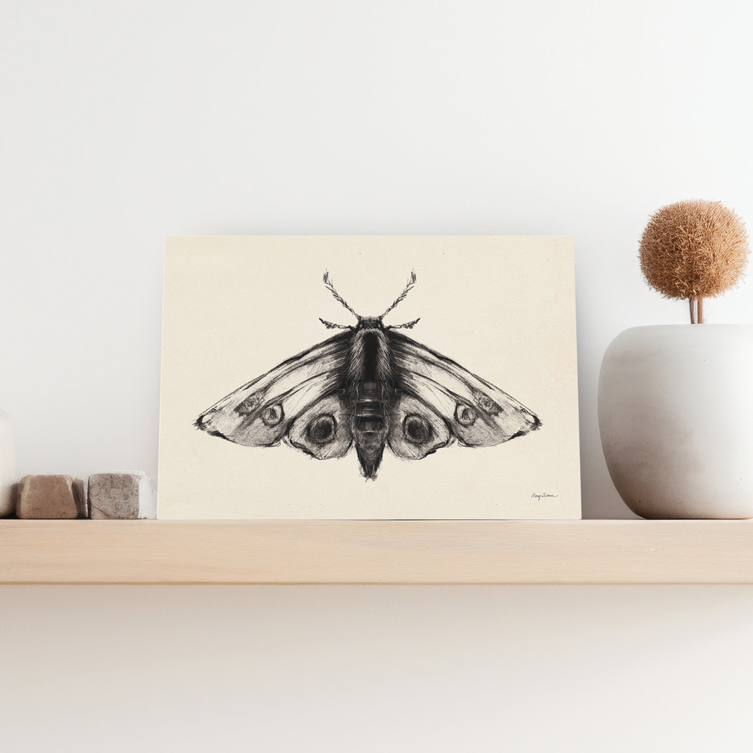 George Oliver Animals - Moth II | Wayfair