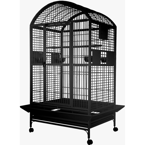 Archie & Oscar™ Dwight Extra Large Dome Top Bird Cage & Reviews | Wayfair