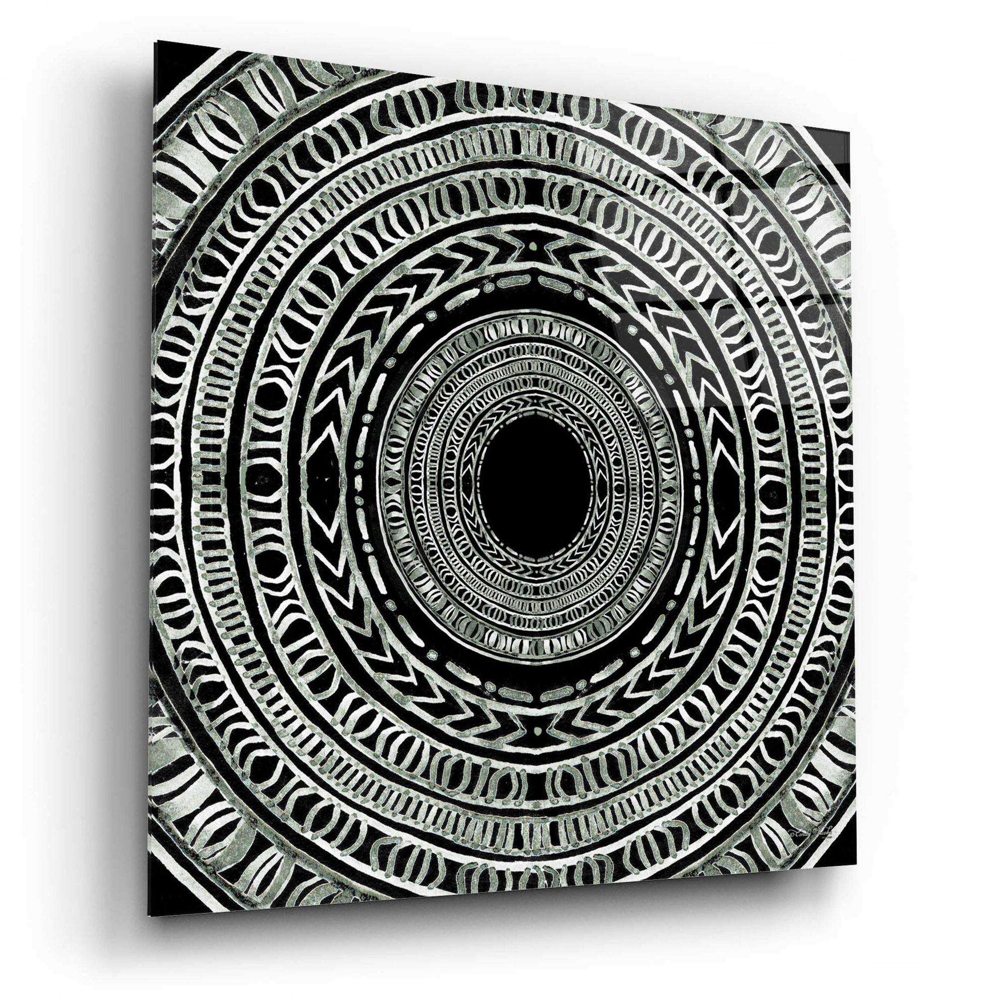 Epic Art 'Seeing Circles I' By Cindy Jacobs, Acrylic Glass Wall Art, 12 ...