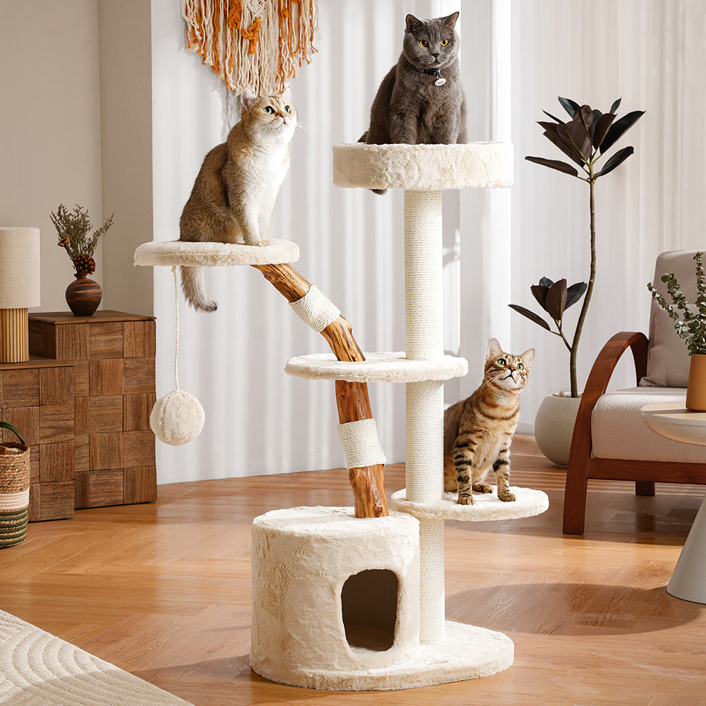 KZLAA Solid Wood Trunk Cat Climbing Frame | Wayfair