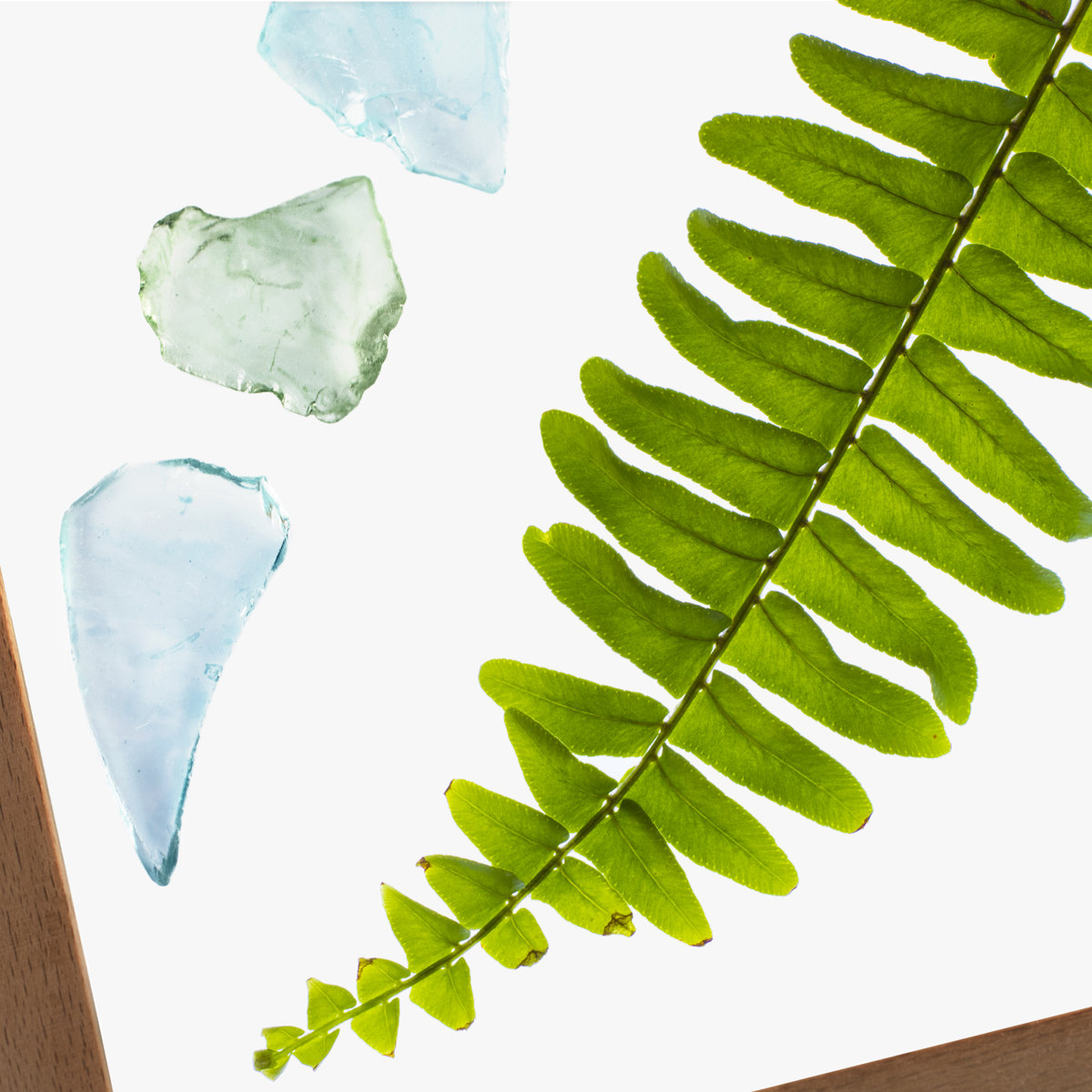 Guidecraft LED Light Activity Tablet & Reviews | Wayfair