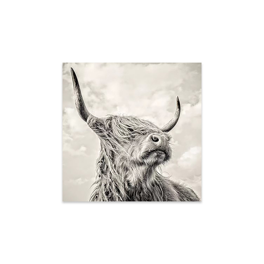 Union Rustic Magnificence I by Mark Gemmell - Unframed Graphic Art ...