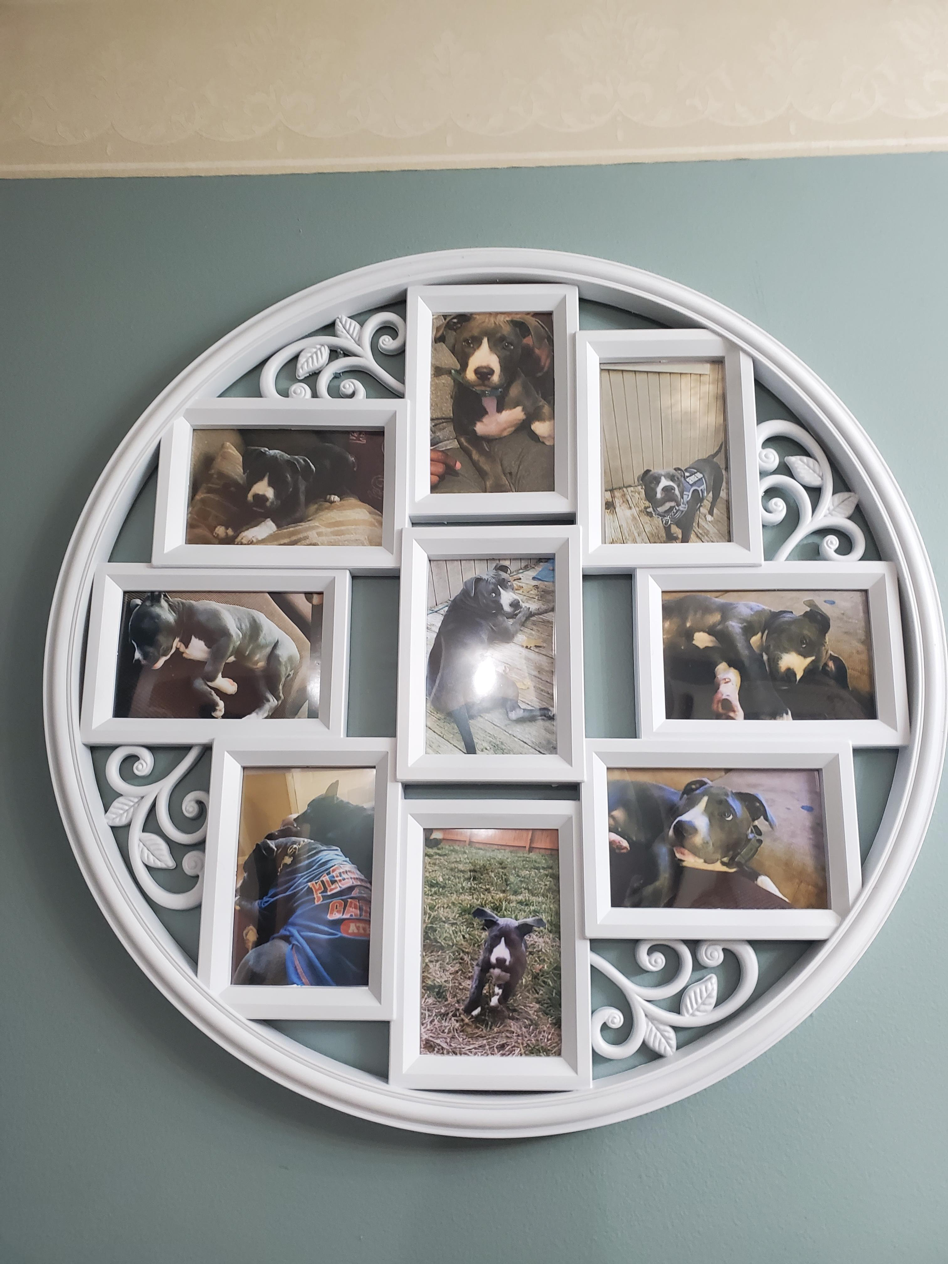 Lark Manor Round Circular Wall hanging Picture Photo Collage Frame with ...