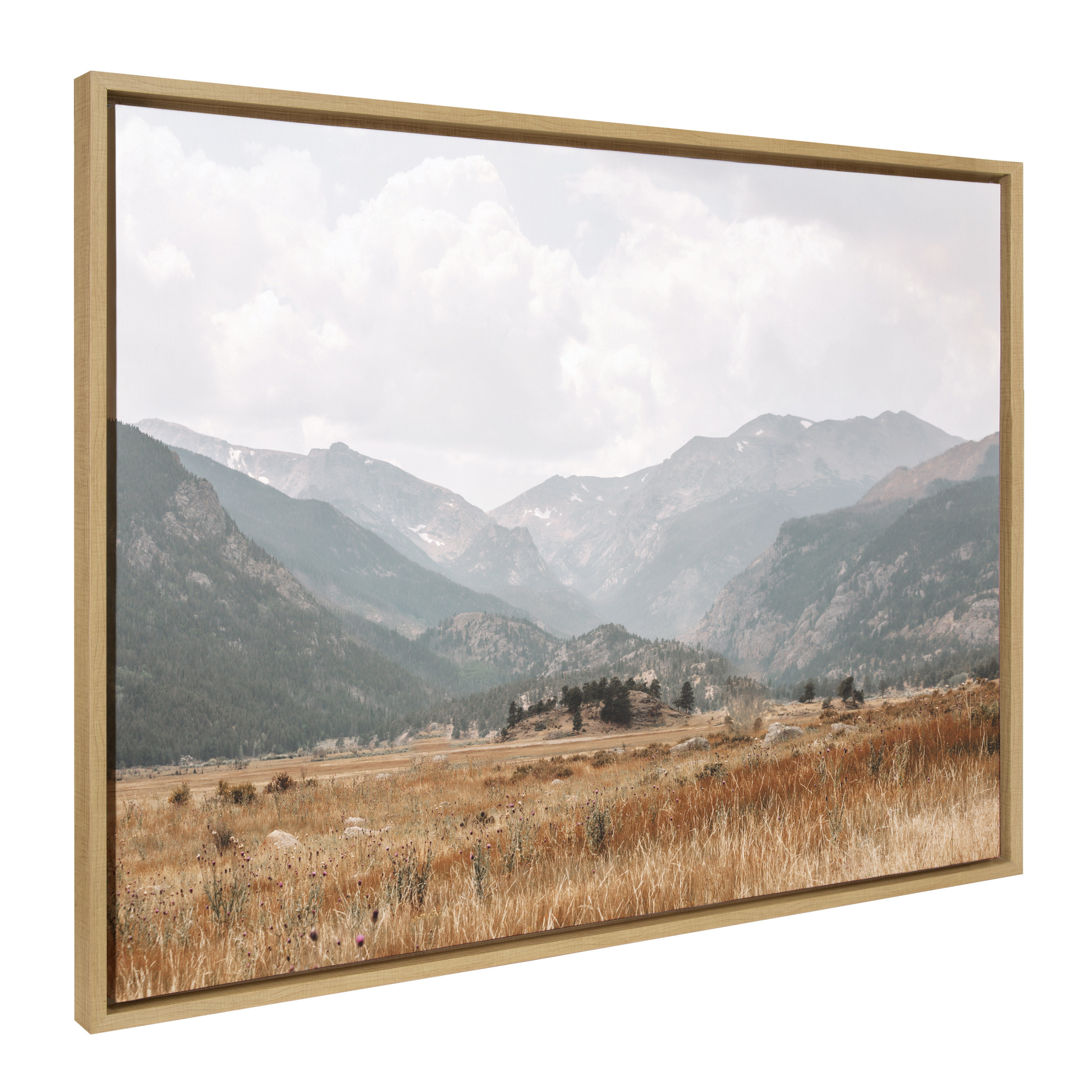 Beachcrest Home Shalyce AA Wanderings Framed On Canvas by Alicia Abla ...