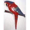 D-Art Collection Iron Parrot Wall Décor & Reviews | Wayfair